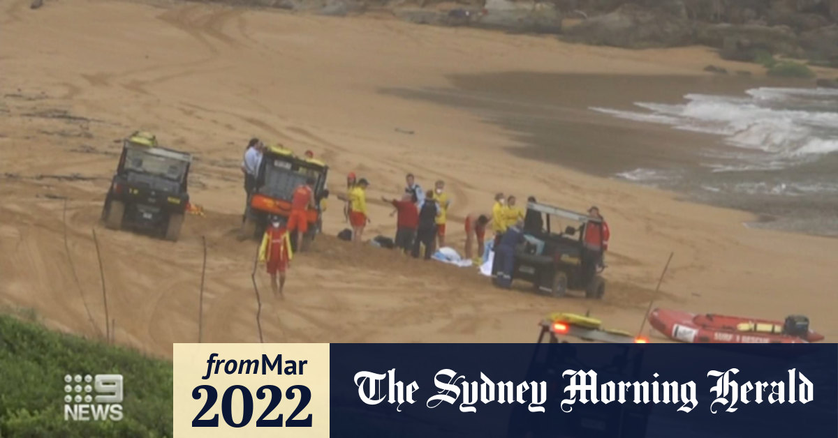 Video Man Dies After Being Pulled From Ocean In Sydney